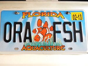 New Florida Off-Road Specialty License Plate Goes Into Production ...