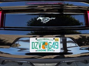 FL Car Registration& Titles: Florida DMV Services You Can Do Online ...