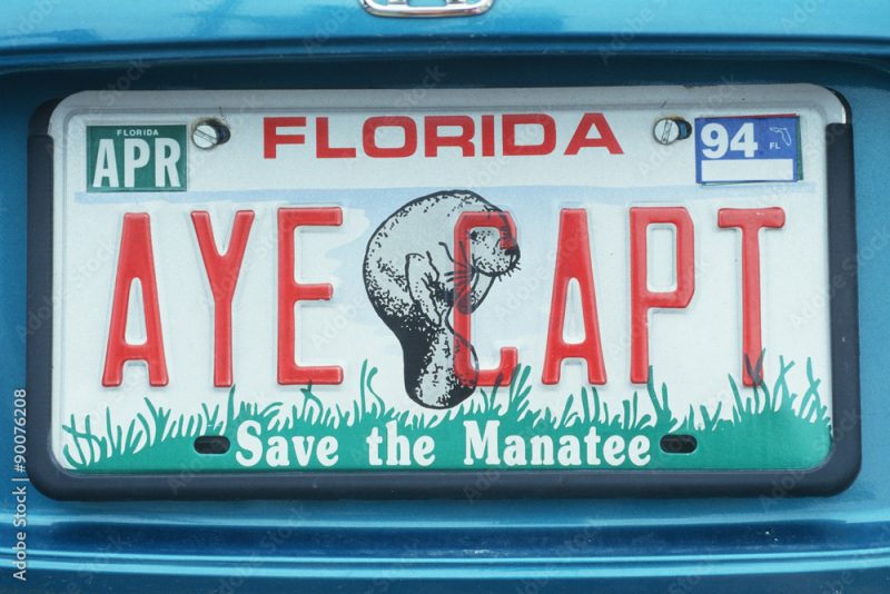 Florida Specialty Plates: Order and Personalize Online | eTags ...