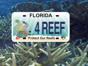 Florida Specialty Plates: Order and Personalize Online | eTags ...