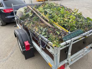 How To Title & Register A Trailer In Connecticut: Online Or In Person ...