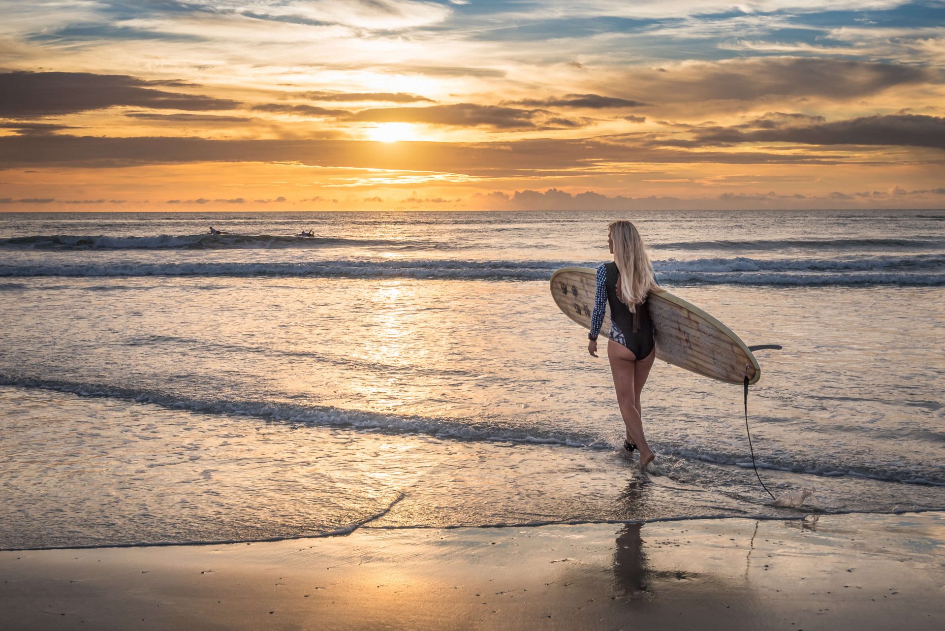 Florida Specialty Plate Spotlight Series: Endless Summer | eTags