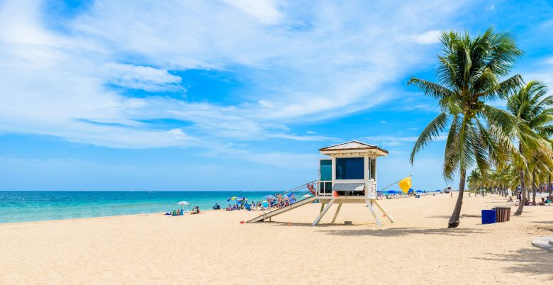 Florida Specialty Plate Spotlight Series: Endless Summer | eTags
