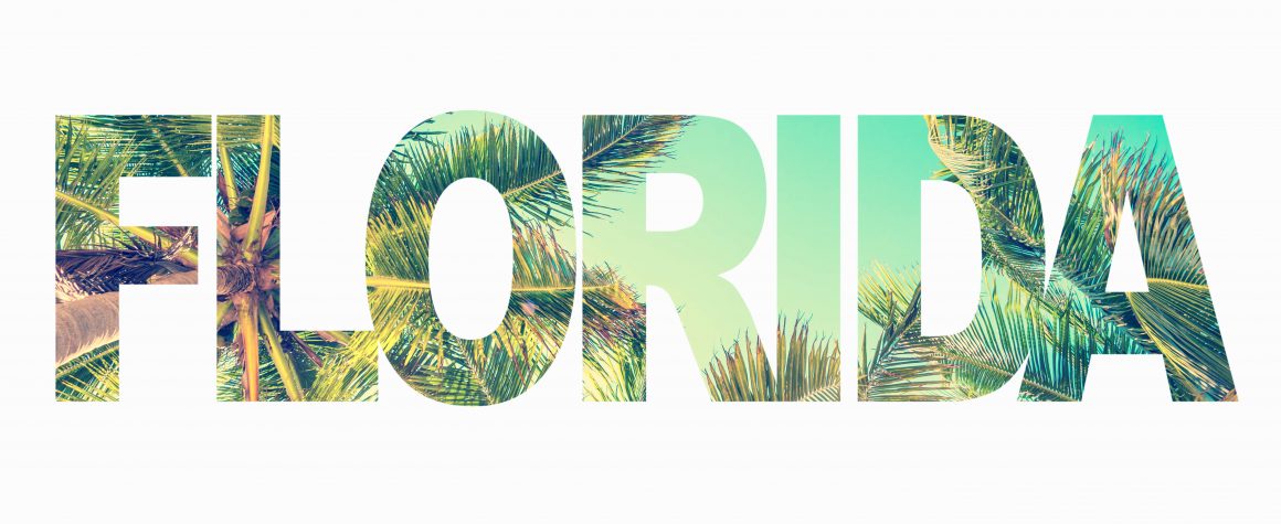 Florida Specialty Plate Spotlight Series: Endless Summer | eTags