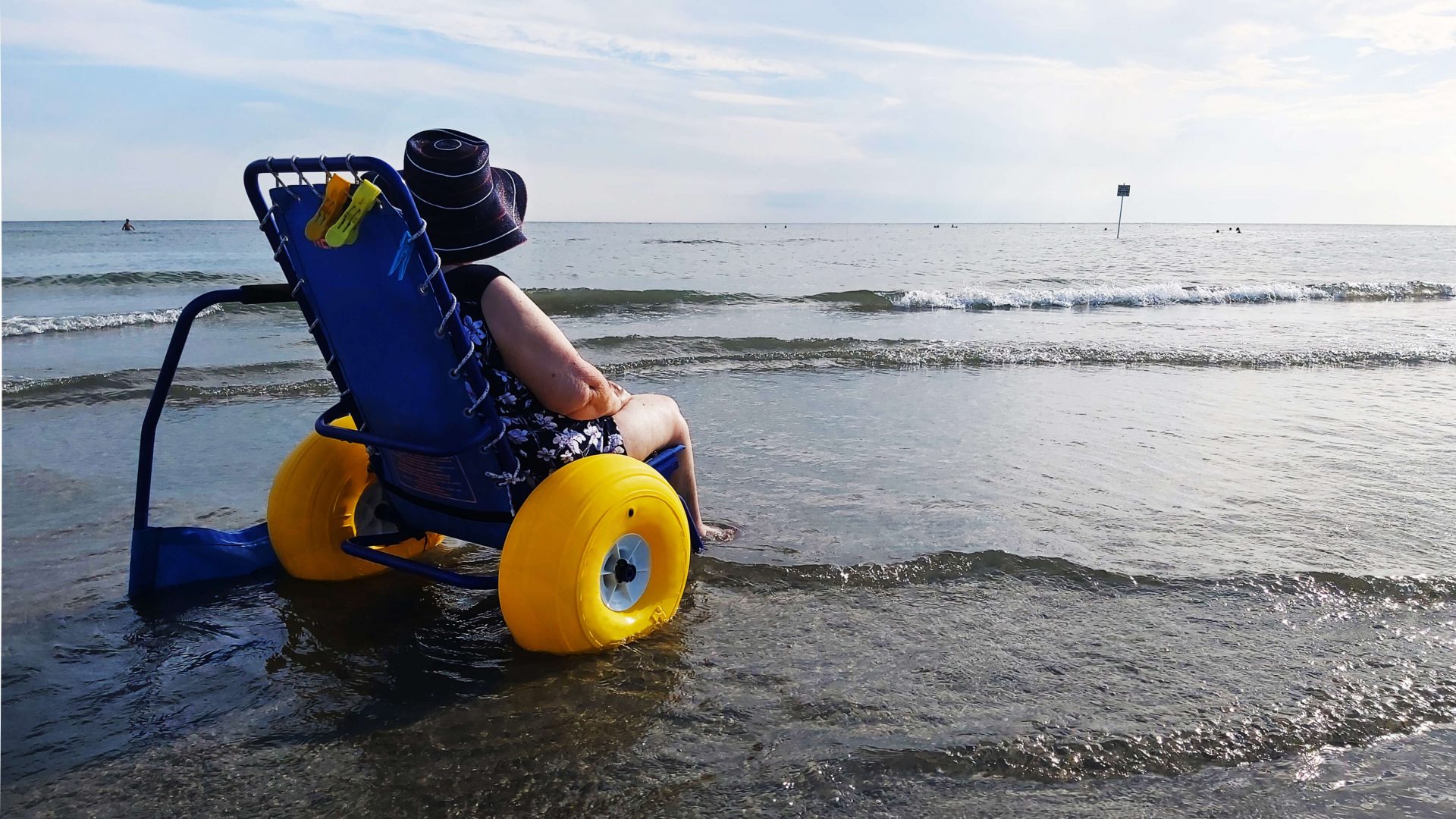 Florida Specialty Plate Spotlight Series: Endless Summer | eTags