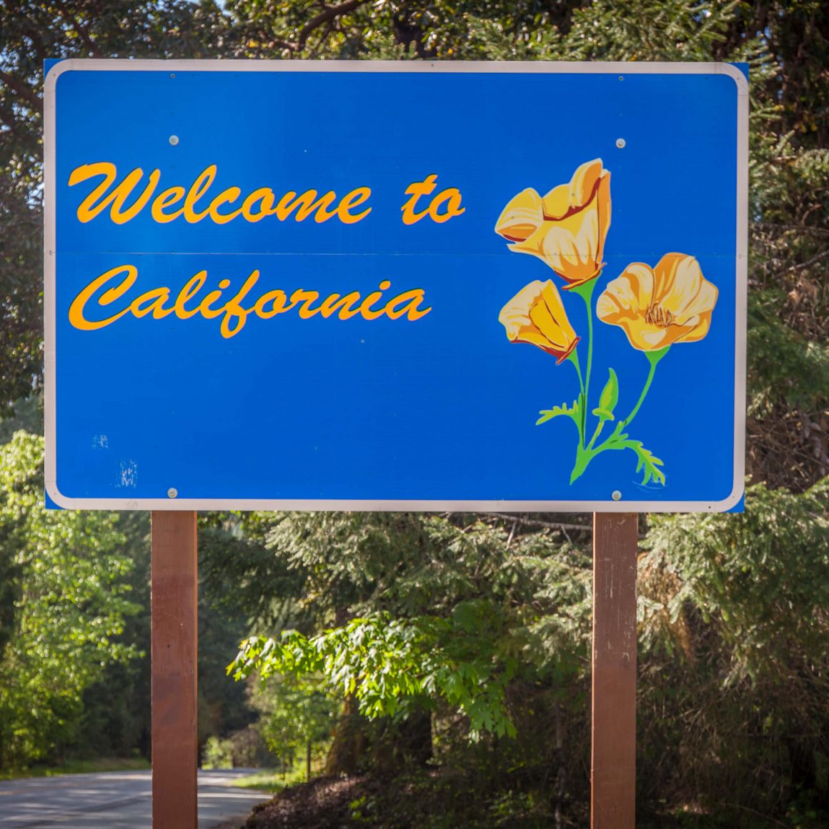 California – eTags – Vehicle Registration & Title Services Driven By ...