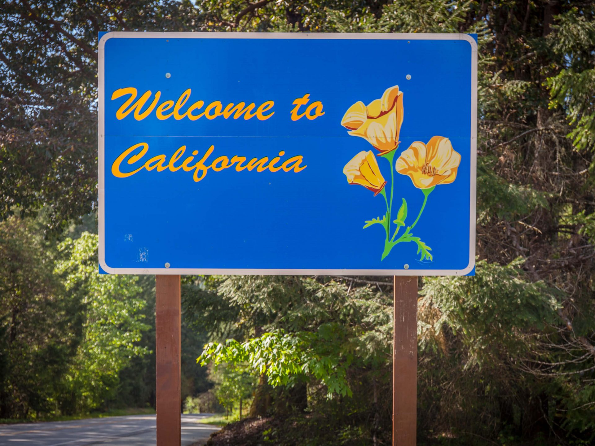 Renewing Registration in CA: A Thorough FAQ List | eTags - Vehicle Registration & Title Services