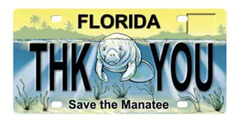 Florida Specialty Plate Spotlight Series: Save the Manatee | eTags