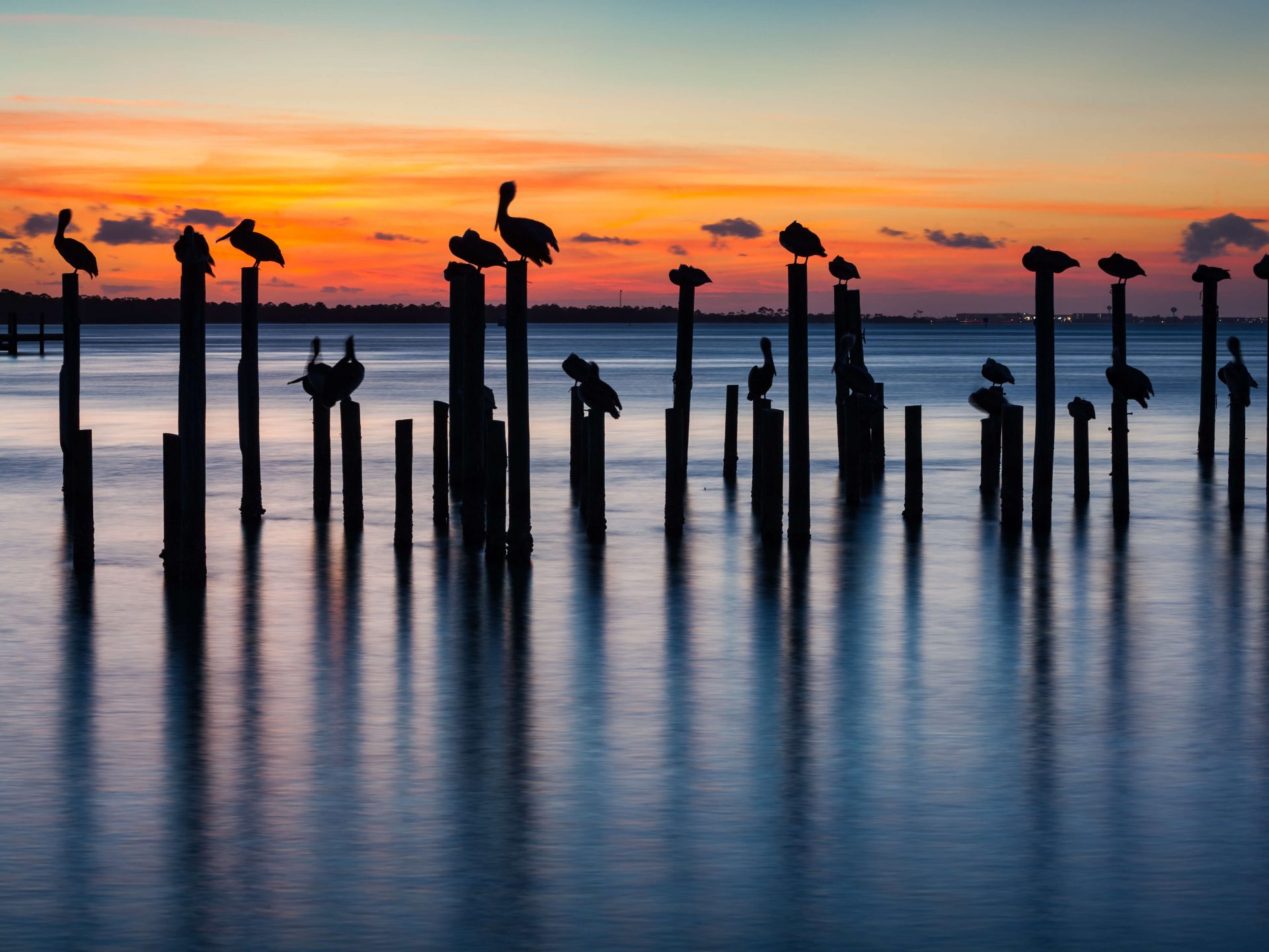 20 Frequently Asked Questions About Florida Vehicle Titles – eTags ...