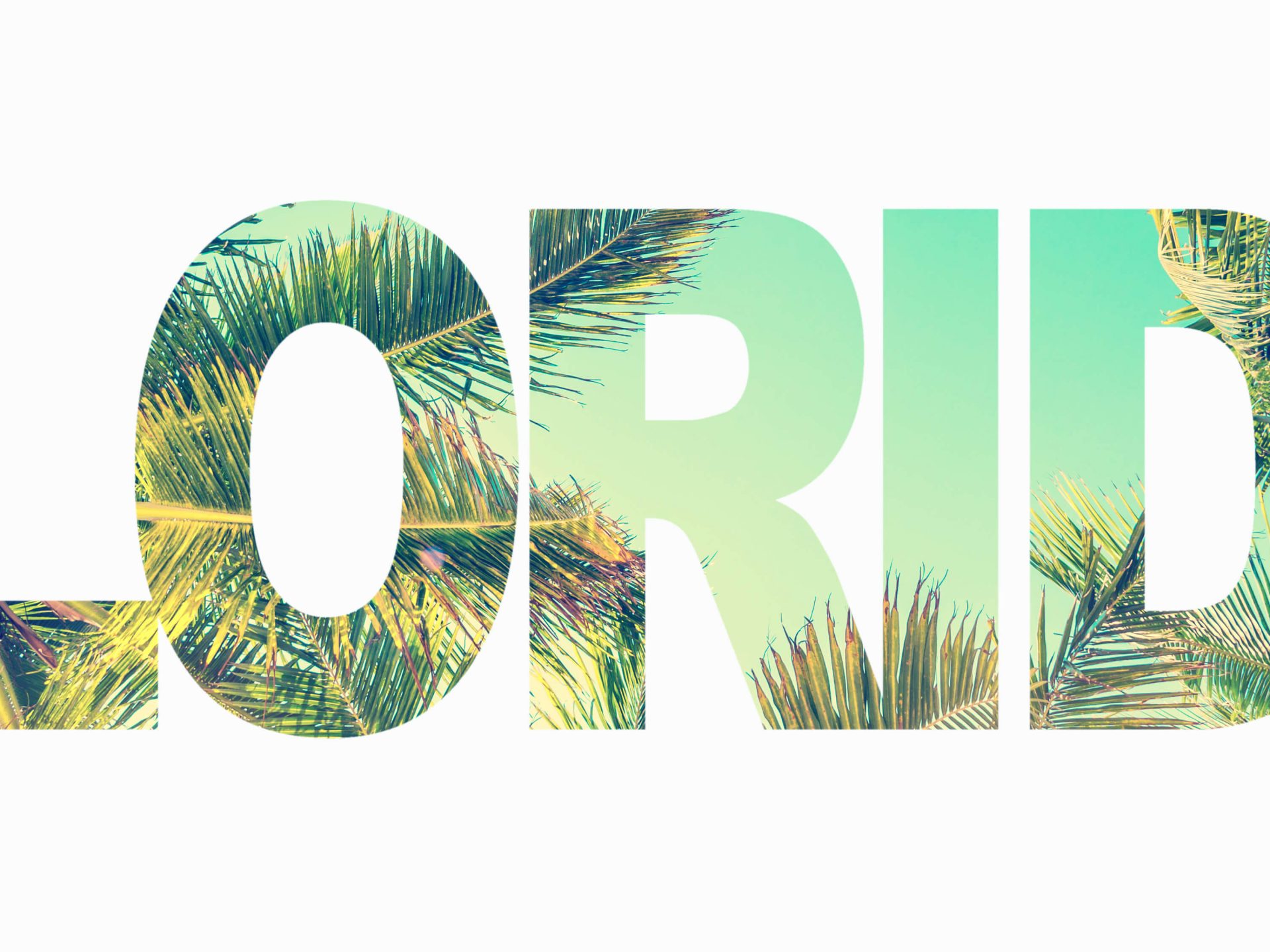 How To Quickly Get A Duplicate Title In Florida | eTags - Vehicle ...