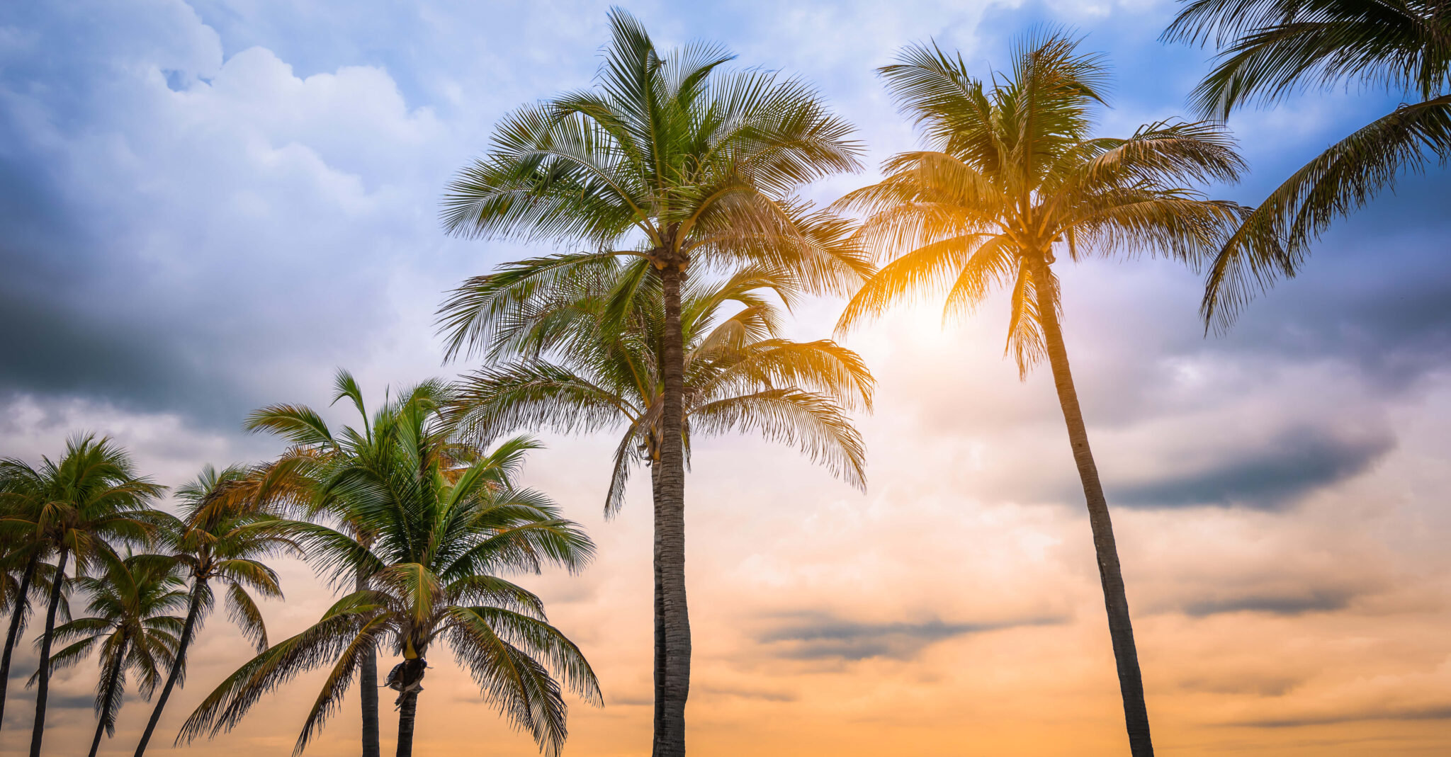 Transfer Your Out-of-State Title and Registration in Florida: A How-To ...